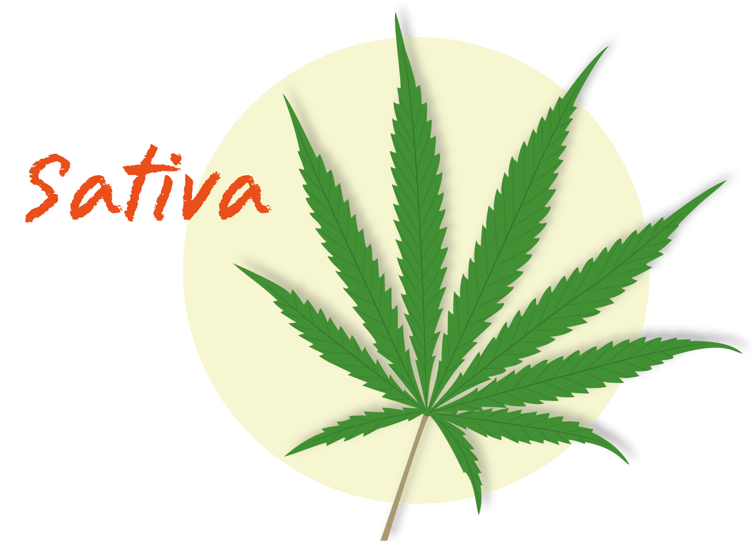 หน้าแรก - ไร่กัญชา บุปผากัญ